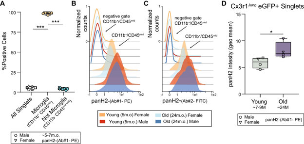 Neurobiology of Aging